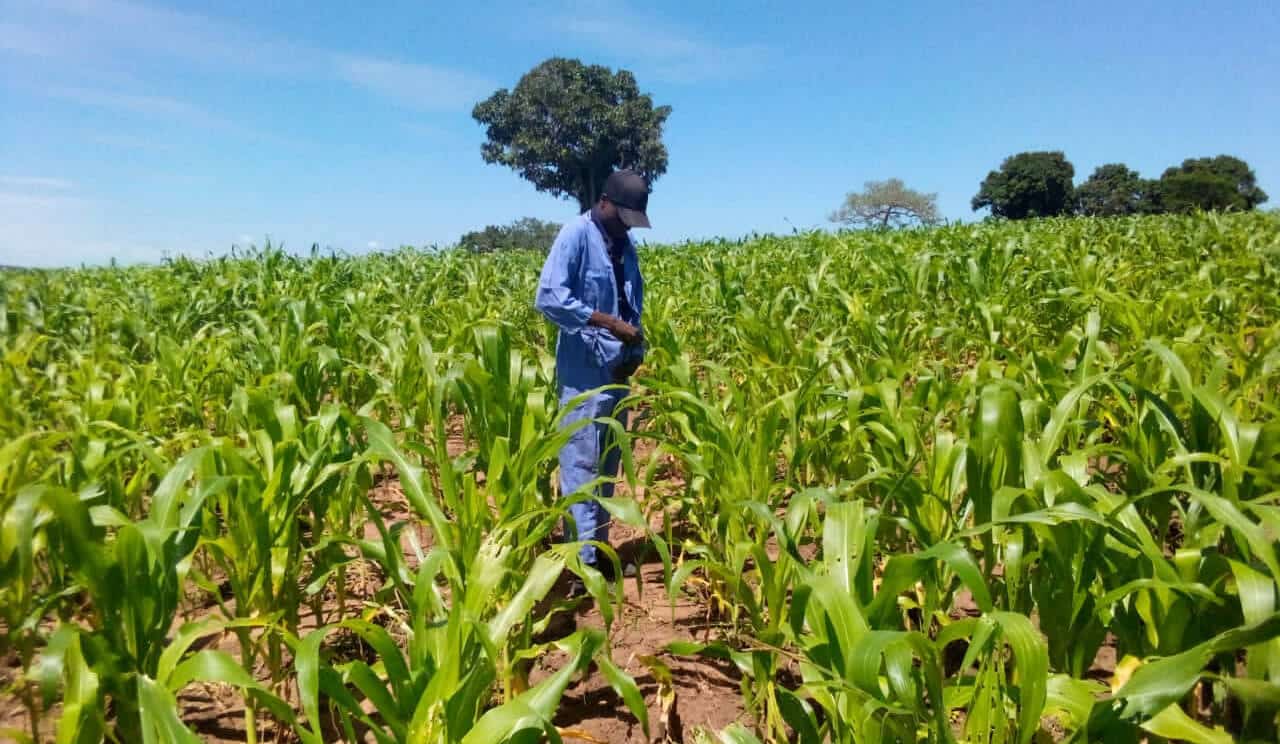 YAI transforms lives and gives hope to farming communities in Africa ...