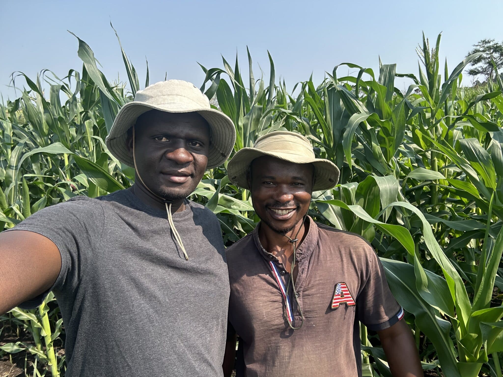 Food security from the ground up – Yambasu Agriculture Initiative ...